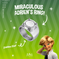 Miraculous Adrien's Ring – Zag Store Europe