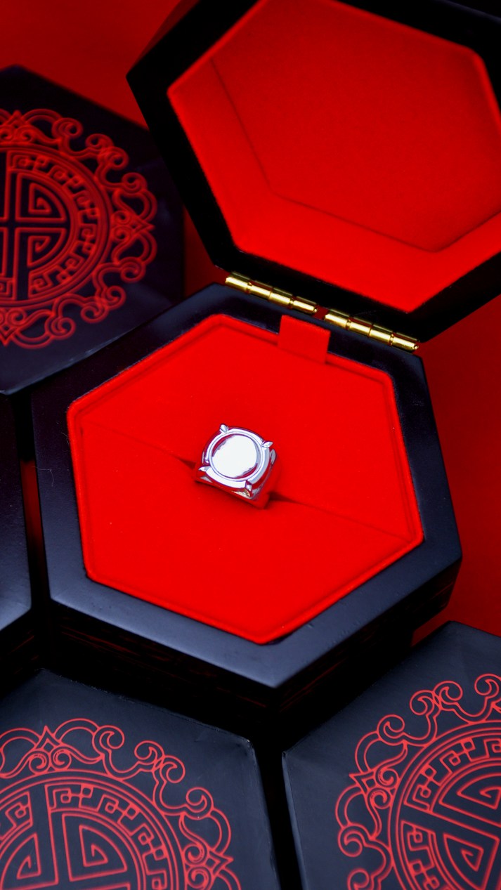 Miraculous Adrien's Ring – Zag Store Europe